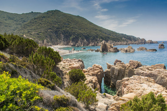 Tinnari Bilder – Durchsuchen 89 Archivfotos, Vektorgrafiken und Videos ...