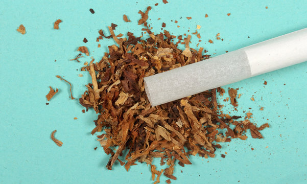 Papiros Images – Browse 55 Stock Photos, Vectors, and Video | Adobe Stock