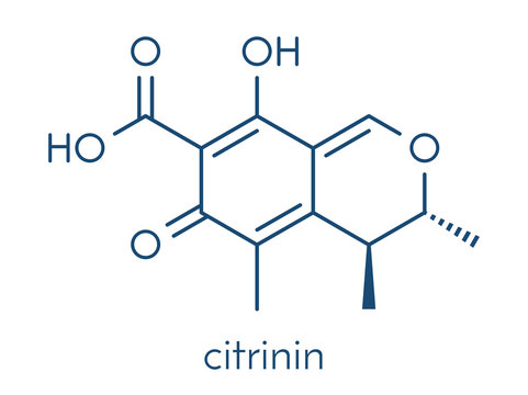 Citrinin Images – Browse 29 Stock Photos, Vectors, and Video | Adobe Stock