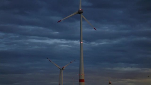 Borchen Bilder – Durchsuchen 45 Archivfotos, Vektorgrafiken und Videos ...