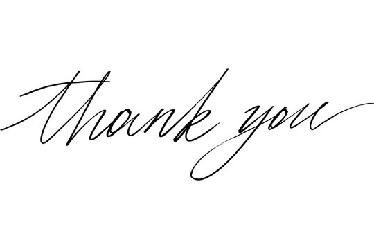 697 BEST Cursive Thank You Font IMAGES, STOCK PHOTOS & VECTORS | Adobe ...