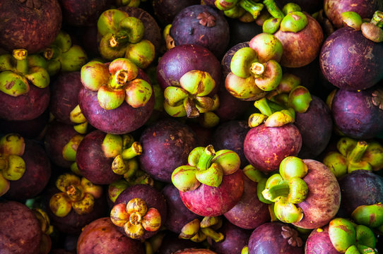 รูปภาพMangostan – เลือกดูภาพถ่ายสต็อก เวกเตอร์ และวิดีโอ31,104 | Adobe ...