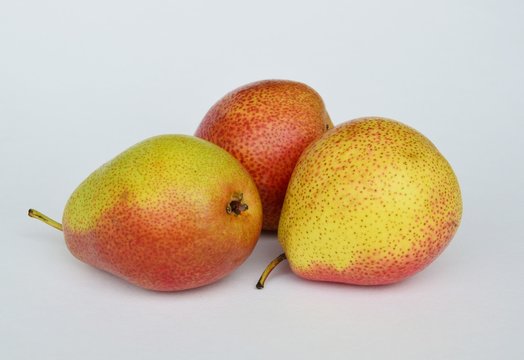 Forell Images – Browse 8 Stock Photos, Vectors, and Video | Adobe Stock