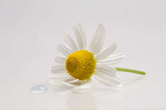Calmative Images – Browse 80 Stock Photos, Vectors, and Video | Adobe Stock
