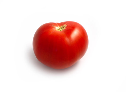 "Single Tomato" Bilder – Durchsuchen 157 Archivfotos, Vektorgrafiken und Videos | Adobe Stock