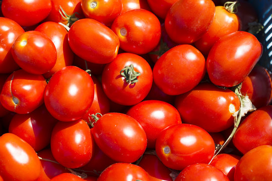 Plantasyon Bilder – Durchsuchen 68 Archivfotos, Vektorgrafiken und ...