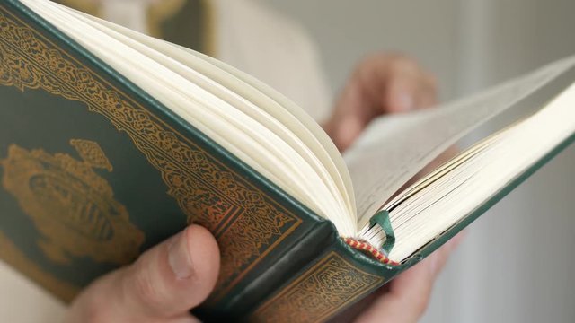 รูปภาพLauh – เลือกดูภาพถ่ายสต็อก เวกเตอร์ และวิดีโอ251 | Adobe Stock