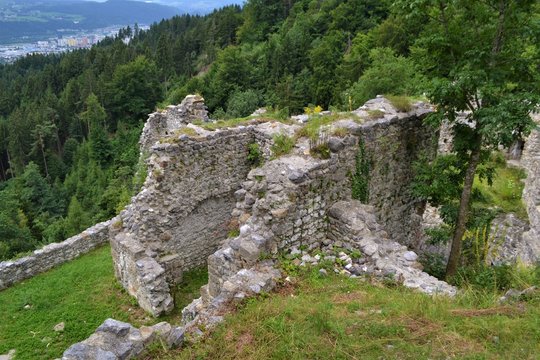 Thauer Images – Browse 44 Stock Photos, Vectors, and Video | Adobe Stock