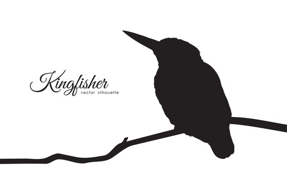 Halcyon Images – Browse 37 Stock Photos, Vectors, and Video | Adobe Stock