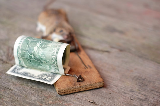 Trapped Images – Browse 9,805,378 Stock Photos, Vectors, and Video ...