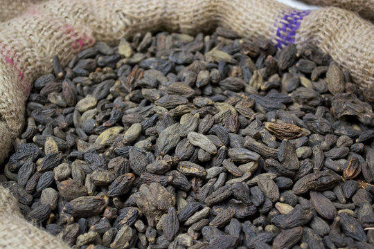 รูปภาพHarad – เลือกดูภาพถ่ายสต็อก เวกเตอร์ และวิดีโอ223 | Adobe Stock