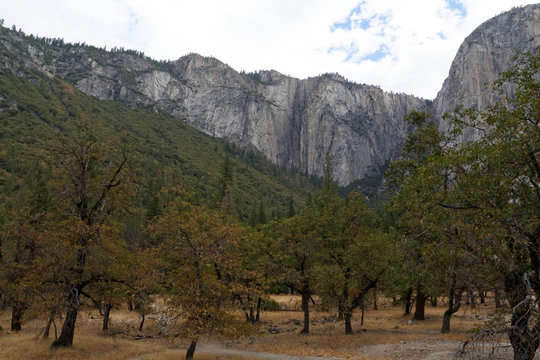 รูปภาพTrogtal – เลือกดูภาพถ่ายสต็อก เวกเตอร์ และวิดีโอ93 | Adobe Stock