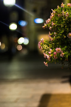 「Abendlichter」の写真素材 | 61件の無料イラスト画像 | Adobe Stock
