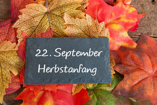 Herbstanfang Billeder – Gennemse 4,759 stockfotos, vektorer og videoer ...
