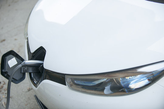 Anzapfen Bilder – Durchsuchen 315 Archivfotos, Vektorgrafiken und ...