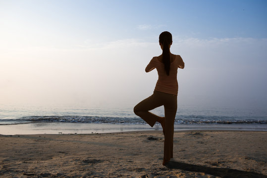 รูปภาพCucoloris – เลือกดูภาพถ่ายสต็อก เวกเตอร์ และวิดีโอ187 | Adobe Stock