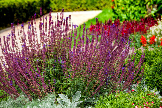 รูปภาพHeyan – เลือกดูภาพถ่ายสต็อก เวกเตอร์ และวิดีโอ88 | Adobe Stock