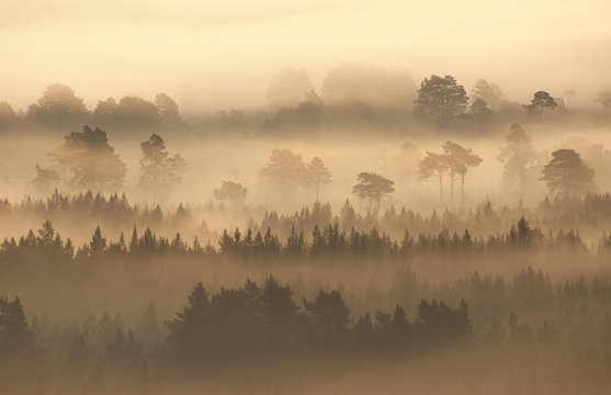 Mood Images – Browse 2,973,080 Stock Photos, Vectors, and Video | Adobe ...