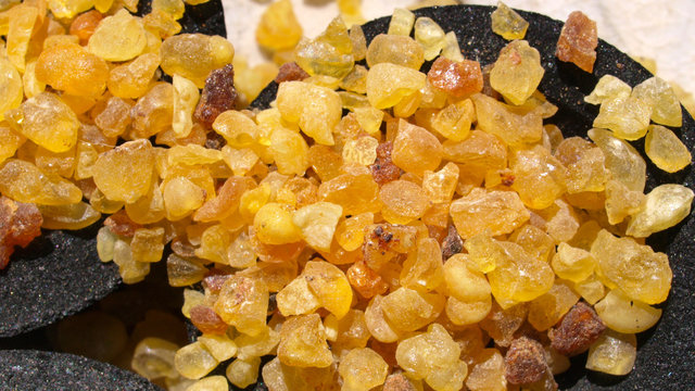 Gummiharz Als Indisches Gewurz