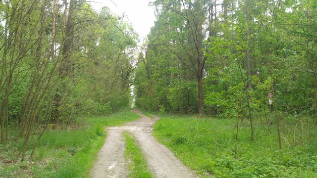 「Dukt」の写真素材 | 252件の無料イラスト画像 | Adobe Stock