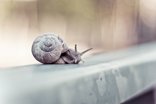 1,850,635 BEST Slow IMAGES, STOCK PHOTOS & VECTORS | Adobe Stock