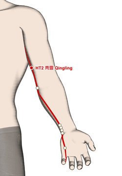 "Heart Meridian" Immagini - Sfoglia 5 foto, vettoriali e video Stock ...