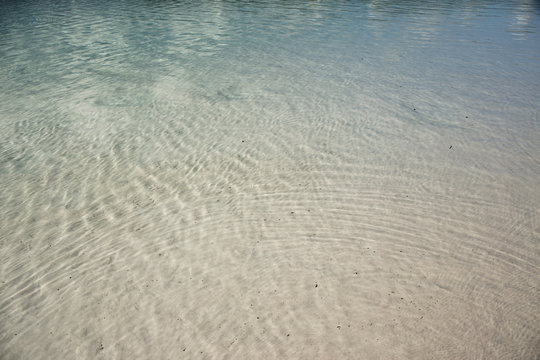 รูปภาพLimpide – เลือกดูภาพถ่ายสต็อก เวกเตอร์ และวิดีโอ2,337 | Adobe Stock