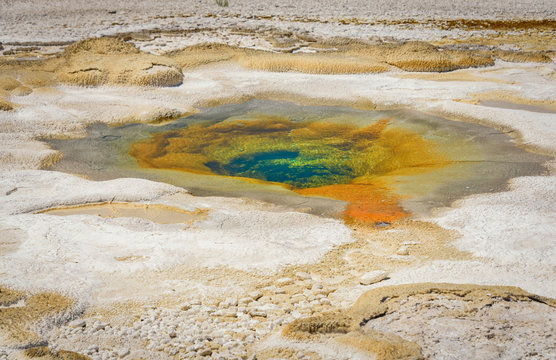 รูปภาพSpasmodic – เลือกดูภาพถ่ายสต็อก เวกเตอร์ และวิดีโอ1,286 | Adobe Stock