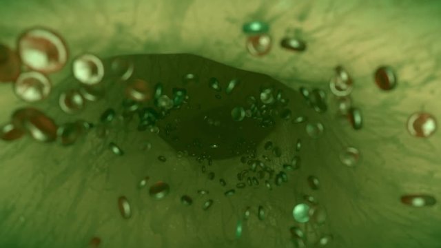 รูปภาพBloodstream – เลือกดูภาพถ่ายสต็อก เวกเตอร์ และวิดีโอ26,903 ...