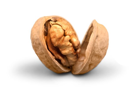 Open Nutshell Bilder – Durchsuchen 49,251 Archivfotos, Vektorgrafiken ...