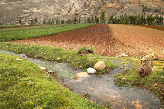 Camellones Images – Browse 4 Stock Photos, Vectors, and Video | Adobe Stock