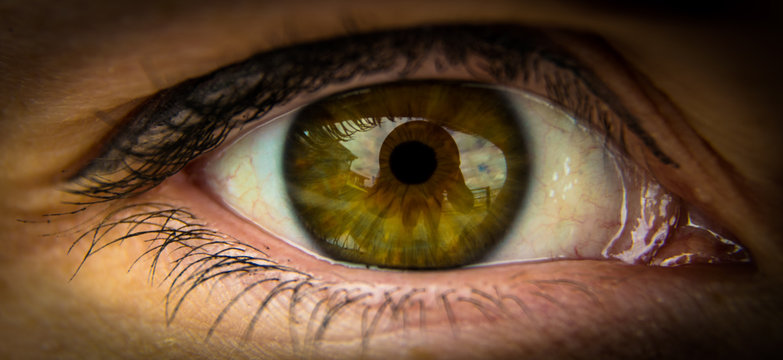 Imagens de Wimper – Explore Fotografias do Stock, Vetores e Vídeos de ...