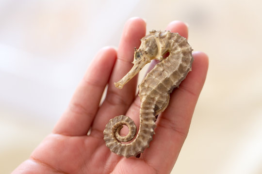 Front-Facing Images – Browse 60 Stock Photos, Vectors, and Video ...