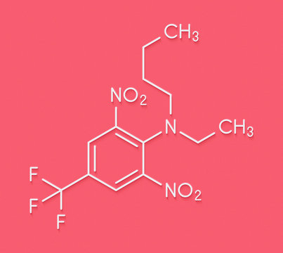 Imágenes de Benefin: descubre bancos de fotos, ilustraciones, vectores ...