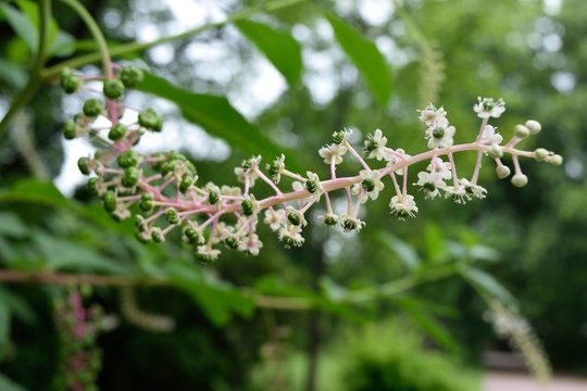 Scoke Bilder – Durchsuchen 2,632 Archivfotos, Vektorgrafiken und Videos ...