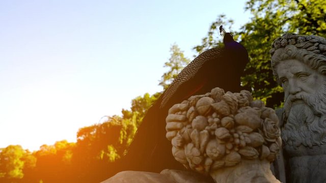 รูปภาพPavlin – เลือกดูภาพถ่ายสต็อก เวกเตอร์ และวิดีโอ92 | Adobe Stock