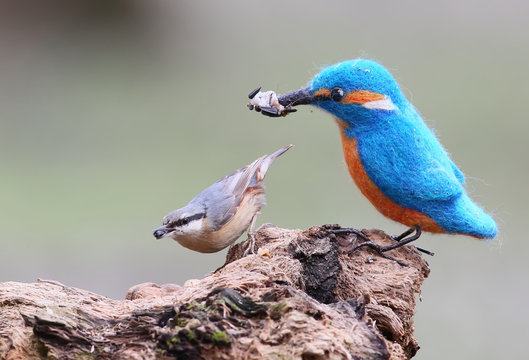 "Fake Bird" Imagens – Procure 41 fotos, vetores e vídeos | Adobe Stock