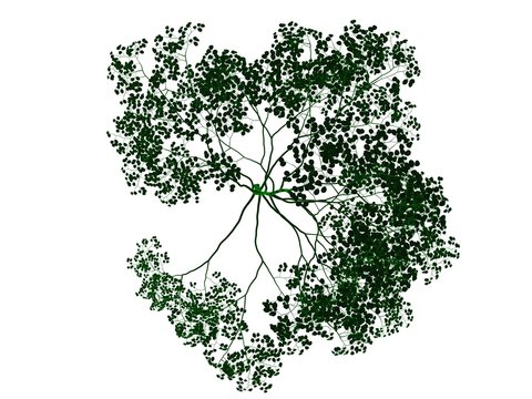 Tree Drawing Top View