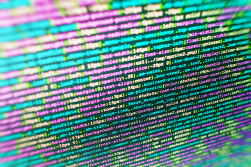 Search photos by maciek905