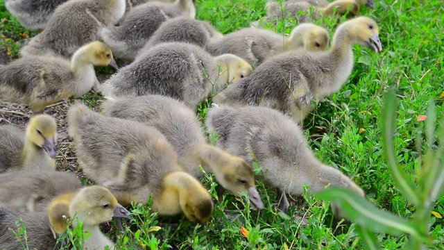 Tweak Images – Browse 9,278 Stock Photos, Vectors, and Video | Adobe Stock