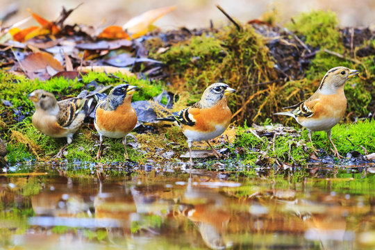 Torbjorn Bilder – Durchsuchen 84 Archivfotos, Vektorgrafiken und Videos ...