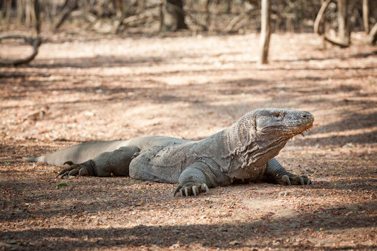 Chilln Bilder – Durchsuchen 27 Archivfotos, Vektorgrafiken und Videos ...