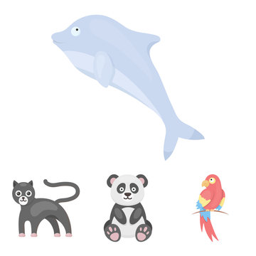 Popugay Images – Browse 30 Stock Photos, Vectors, and Video | Adobe Stock