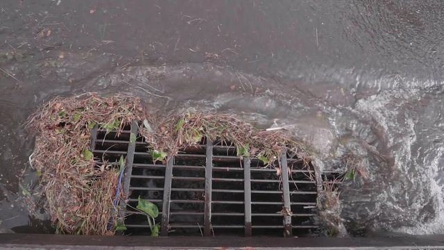 Obrazy ("Mole Drain") — zdjęcia, wektory i wideo bez tantiem (7 ...