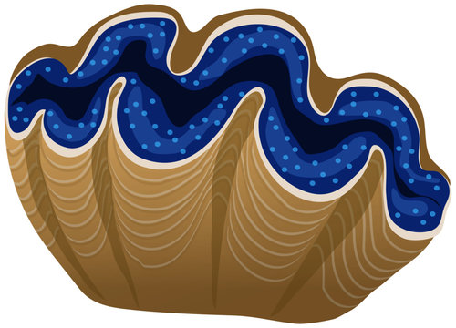 Giant Clam Clipart