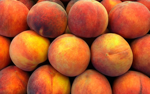 รูปภาพNecterine – เลือกดูภาพถ่ายสต็อก เวกเตอร์ และวิดีโอ4 | Adobe Stock