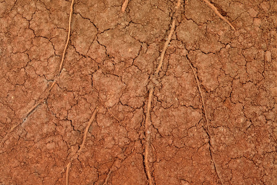 Torf Bilder – Durchsuchen 45,820 Archivfotos, Vektorgrafiken und Videos ...