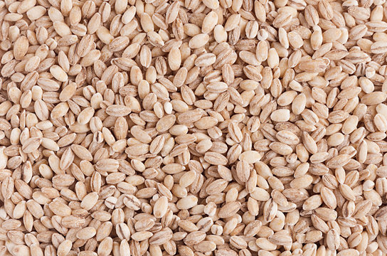 Korngryn bilder – Bläddra bland 9,086 stockfoton, vektorer och videor ...