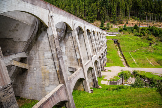 Linach-Bilder: Stock-Fotos & -Videos. | Adobe Stock