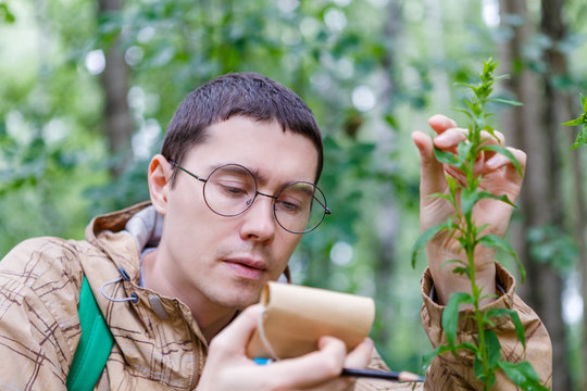 รูปภาพEcologist – เลือกดูภาพถ่ายสต็อก เวกเตอร์ และวิดีโอ27,028 | Adobe ...